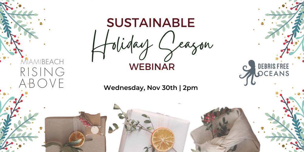 Sustainable Holiday Season webinar - Debris Free Oceans