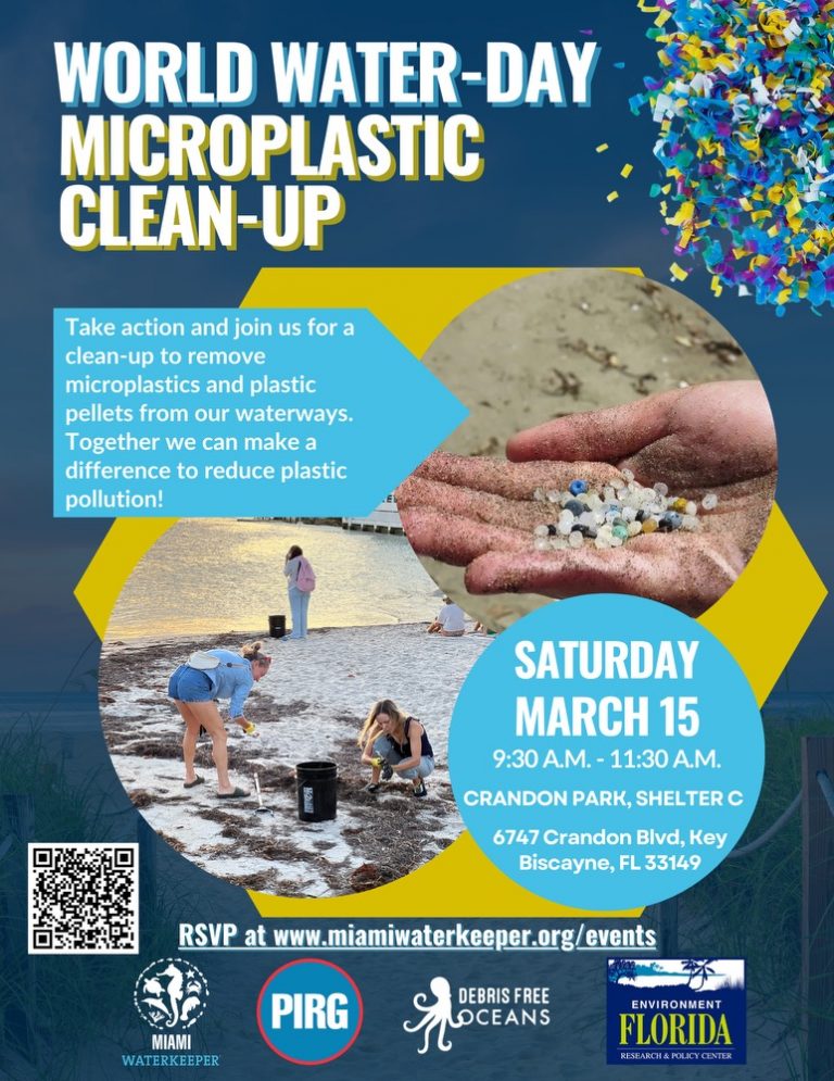 World Water Day: Microplastics Marine Debris Cleanup - Debris Free Oceans